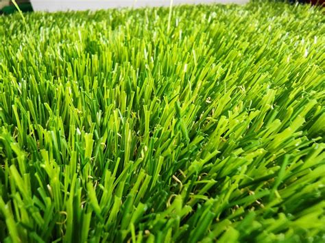 Environment Friendly Turf Vertical Grass Panel With High Dense For Gym