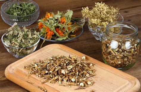 Plantes Pour Booster Sa Libido