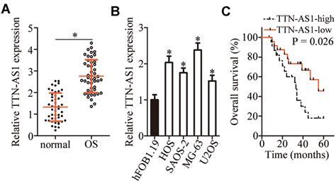 Long Noncoding Rna Ttn As1 Enhances The Malignant Characteristics Of