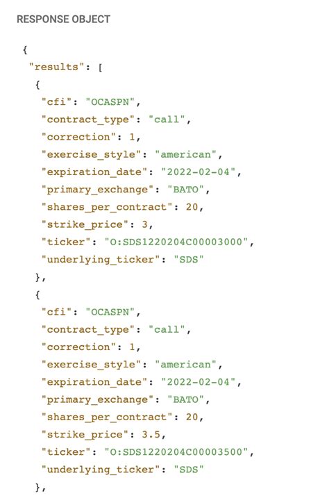 Invalidly Structured Option Symbol Expiration Date · Issue 193 · Polygon Ioissues · Github
