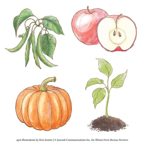 Kris Sexton Illustration Home