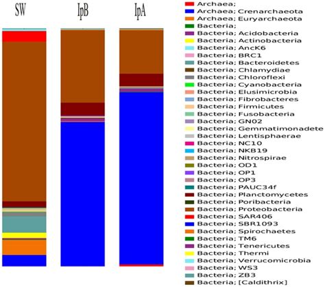 Relative Abundance Of 16s Rrna Gene Pyrosequencing Reads From Sponges Download Scientific