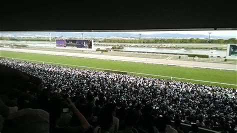 【現地】京都11r 天皇賞・春《g1》本馬場入場【ザ・チャンピオン】 Youtube