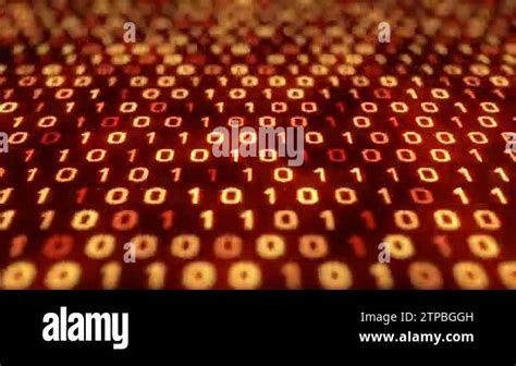 Technology Gold Background With Animated Strokes Of Binary Code On