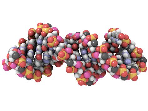 Rna Editing Enzyme Combined With Rna Photograph By Laguna Design Pixels