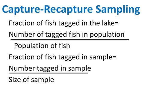 Ppt Sampling Methods And Techniques For Data Collection Powerpoint Presentation Id2565371 Ppt Sampling Methods And Techniques For Data Collection Powerpoint Presentation Id2565371