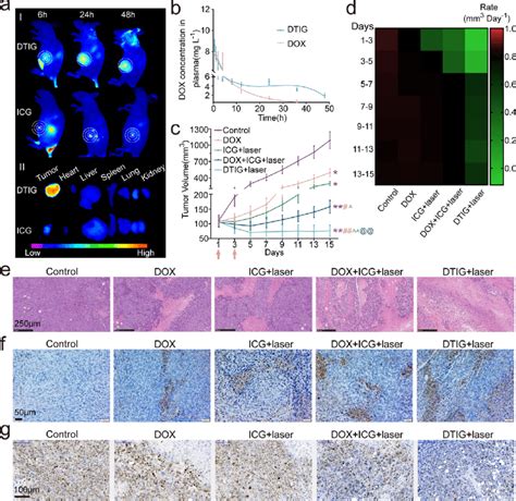 In Vivo Tumor Distribution Pharmacokinetics And Antitumor Efficiency