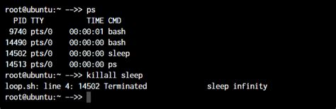 Top 50 Linux Commands You Must Know Digitalocean