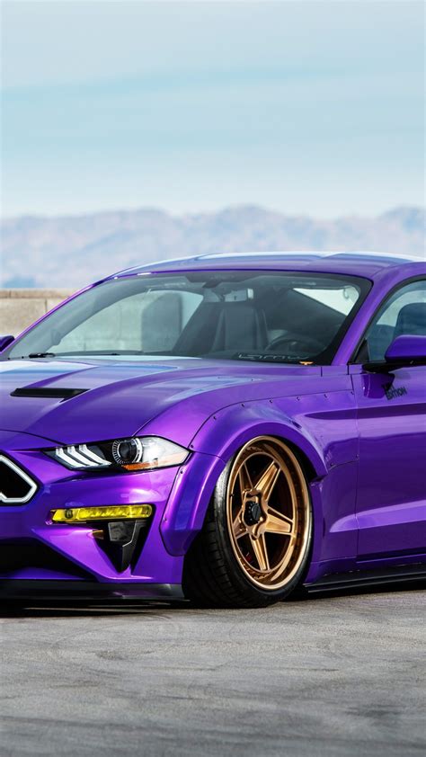 Shelby Mustang Backiee