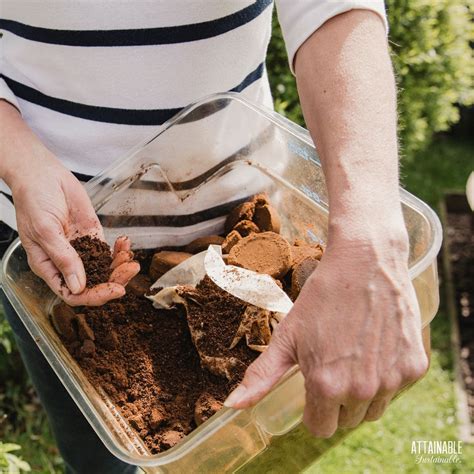 Coffee Ground Compost Container How To Use Coffee Grounds For Plants