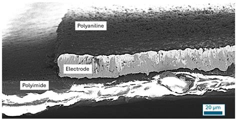 Chemosensors Free Full Text Polyaniline Based Flexible Sensor For Ph Monitoring In Oxidizing
