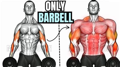 Upper Body Workout With Barbell Shoulder Forearm Chest Triceps