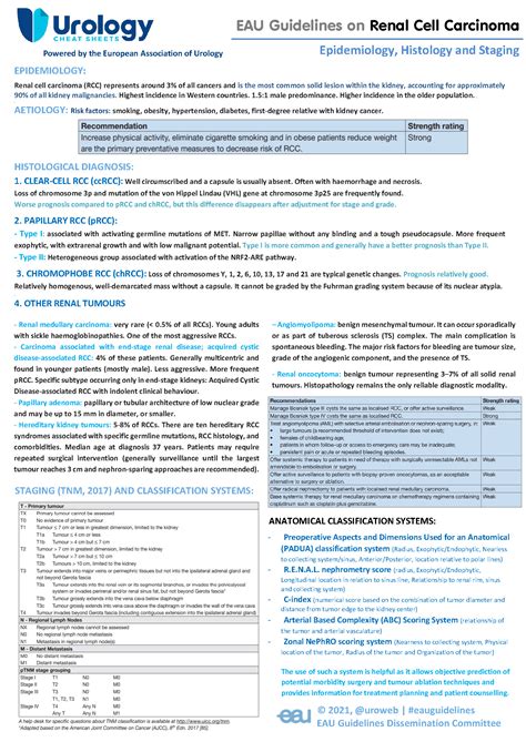 Eau Guidelines On Renal Cell Carcinoma Urology Cheatsheets
