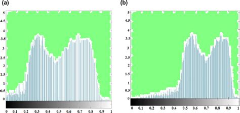 A Histogram Of Original Image B Optimised Histogram Of Image Download Scientific Diagram