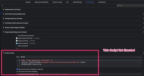 Flutter Build Ios Failing Ld Framework Not Found App Issue 32454