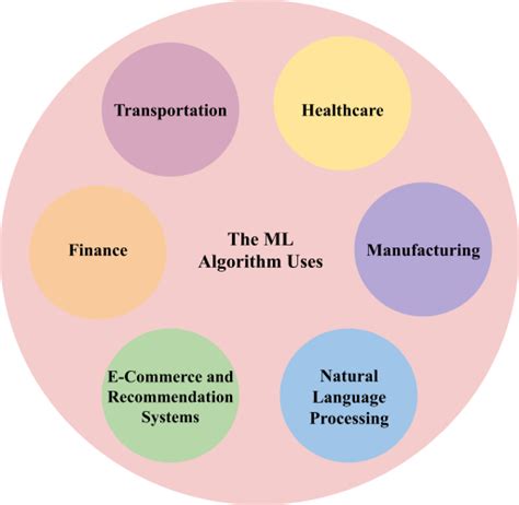 Machine Learning Algorithms Exploring The Essentials