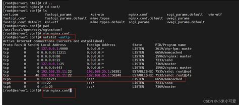 lnmp架构 PHP CSDN博客