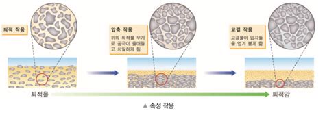 [지구과학1 개념] 1단원 퇴적암과 퇴적 환경 퇴적암 퇴적 환경 퇴적 지형 화학적 퇴적 교결 작용 점이 층리 층리면 한반도의 퇴적 지형 네이버 블로그