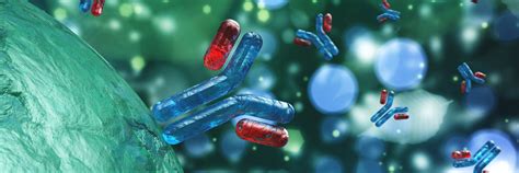 Plasmid Dna Learning Center