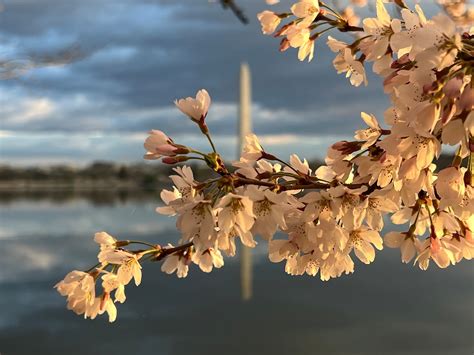 Dc Area Forecast Turning Cloudy Today With Damp Weather Wednesday