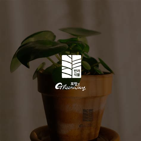 포항그린웨이 반려식물 친환경 화분