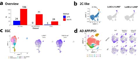 Unveiling The Impact Of Transposable Elements Expression At The Single Cell Level Using SoloTE
