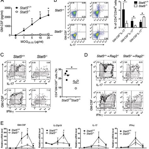 IL 7 Promotes GM CSF Expression Through STAT5 Activation In