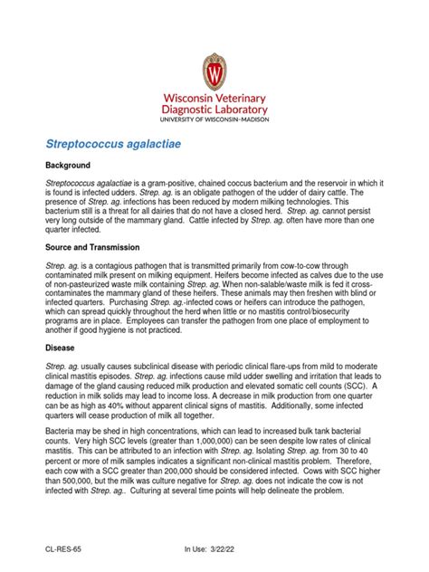 Streptococcus Agalactiae Pdf Infection Cattle