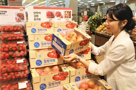로코노미 이끄는 롯데마트 강원도 토마토 축제 연다 파이낸셜뉴스