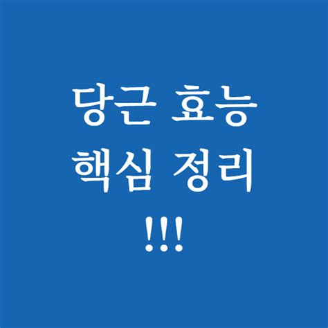 당근 효능 핵심 정리