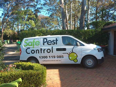 Professional Pest Control Sydney Nsw Safe Pest Control