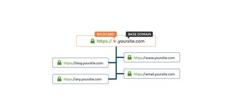 The Differences Between 5 Types Of SSL Certificates LTHEME