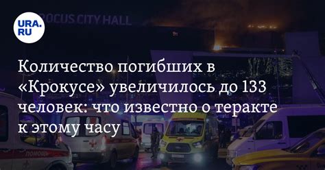 Теракт в Крокусе что известно погибшие допрос террористов фото