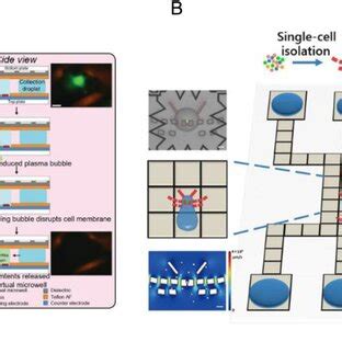 Digital Microfluidicsbased Singlecell Isolation And Sequencing