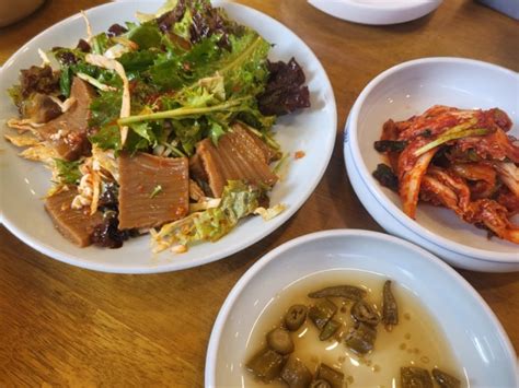 도토리 효능 도토리묵 효능 칼로리 주의점