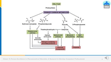 Radio Tracer Technique Pdf