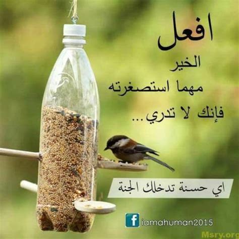 صور سكس ساخنة ومثيرة وصور جنسية وصور س 2019 موقع مصري