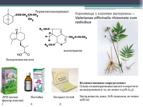 Лекарственные растения и лекарственное растительное сырье содержащие