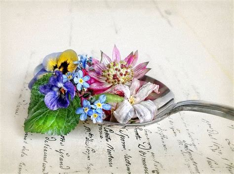 Flowers, Beautiful flowers, Flowers photography