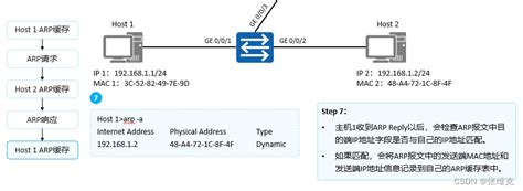 华为数通hcia arp（地址解析协议）详细解析 arp协议 华为 csdn博客