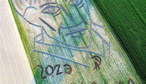 The Largest Portrait Of Picasso In The World By Dario Gambarin