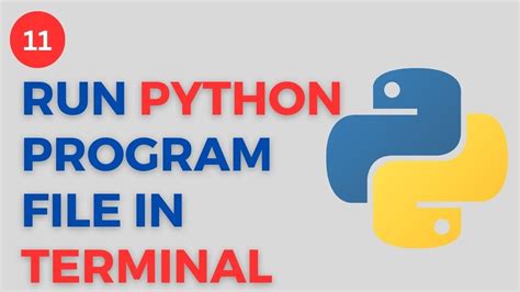 Run Python Program File In Terminal Youtube