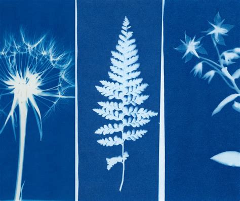Cyanotype Workshop Delta County Libraries