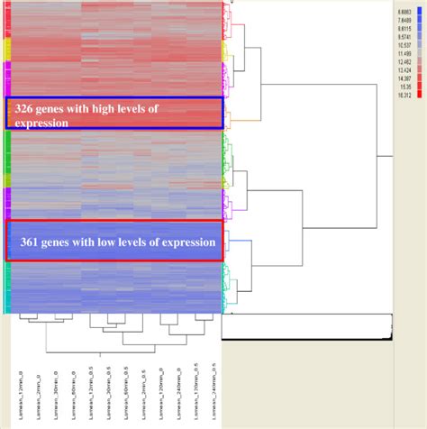 Overview Of Ethanol Shock Expression Responses By Hierarchical