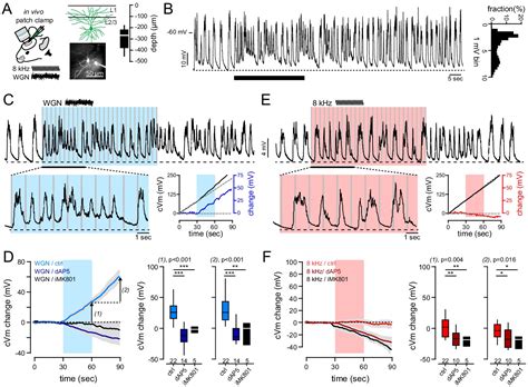 figures and data in the integration of gaussian noise by long range