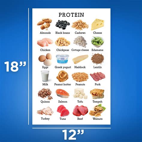 Protein Chart Food Protein Chart Printable Nutrition Daily Protein
