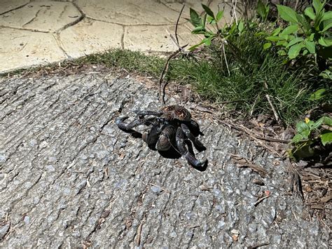 Miyako Adventure Pipi All You Need To Know Before You Go 2024