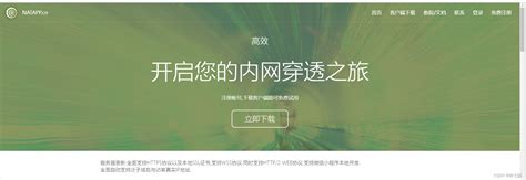如何展示自己的html页面给别人看 展示自己的网页 CSDN博客