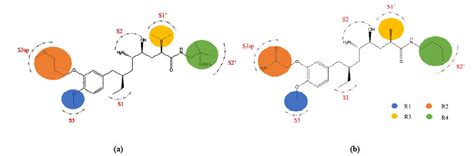 Mechanism Study of Aliskiren and Its Analogues by Molecular Dynamic Simulation