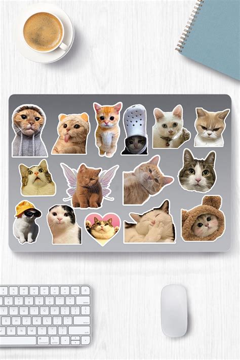 Sambu Design Kedi Temalı Sticker Etiket Seti Cat Sticker Laptop